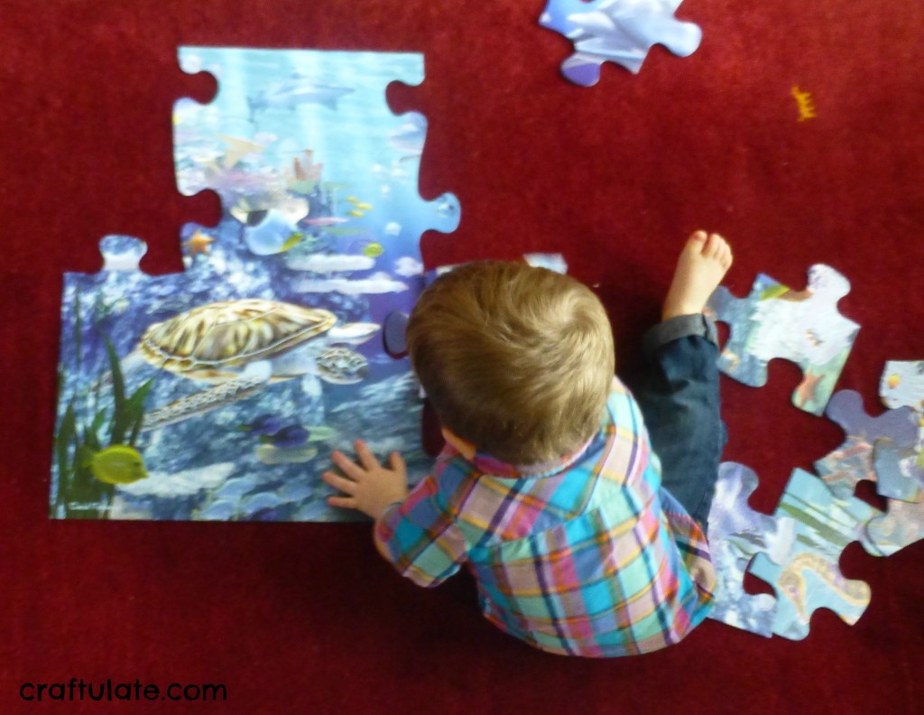 Playing with Puzzles