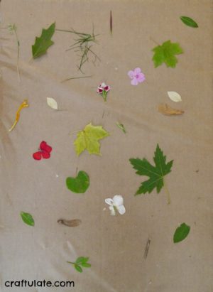 Outdoor Nature Collage – Craftulate