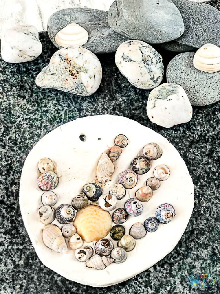 25 Easy Seashell Crafts and Decor Ideas - Craftulate