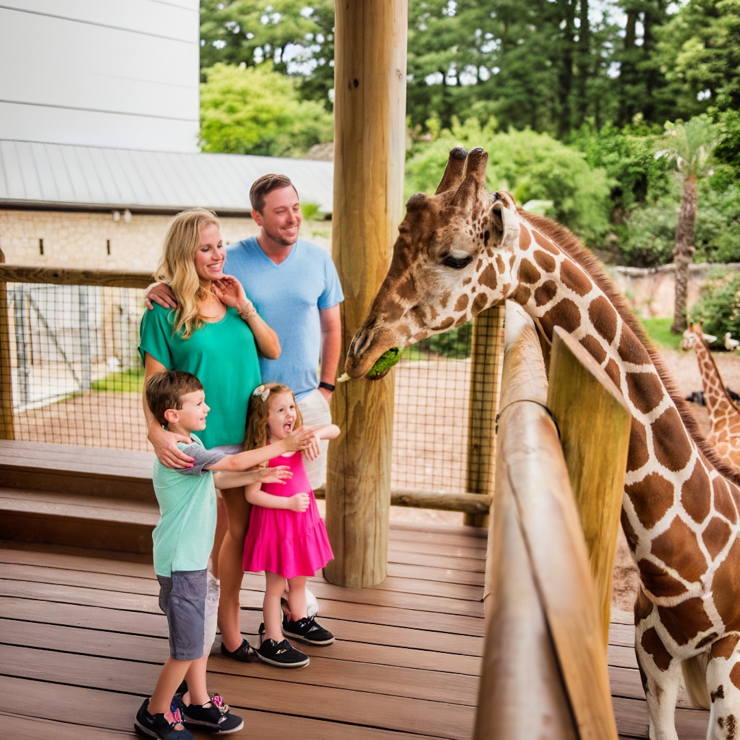 San Antonio Zoo Full Tour and Review (2024) - Craftulate