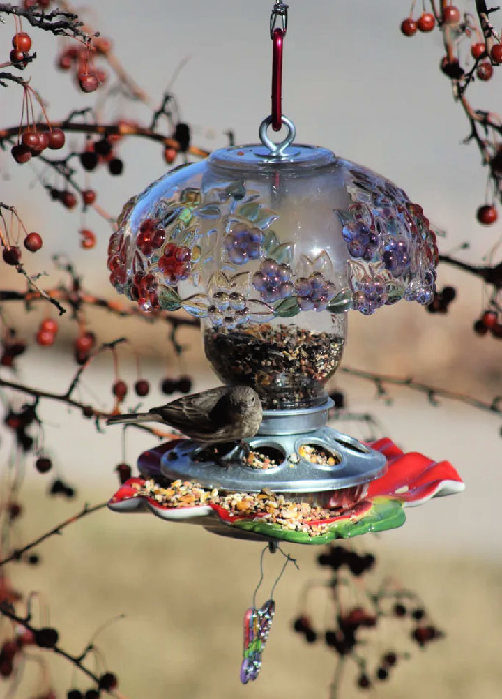 DIY Bird Feeder for Kids - 15 Bird Feeder Crafts - Craftulate