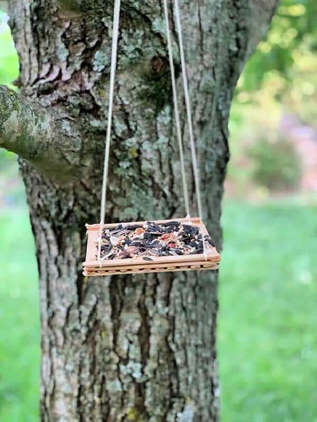DIY Bird Feeder for Kids - 15 Bird Feeder Crafts - Craftulate